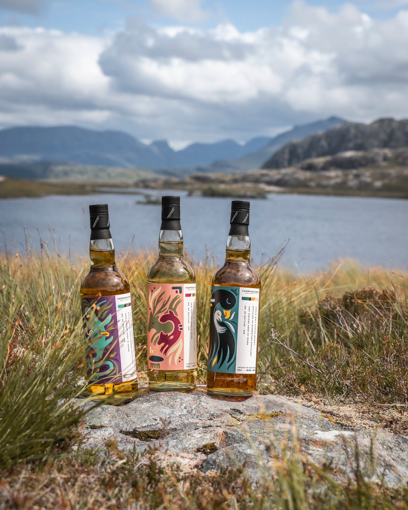 Dornoch Distillery & Carnegie Whisky Cellars